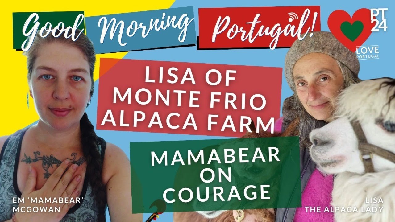 Alpacas and Courage on the Good Morning Portugal! show with Mamabear ...