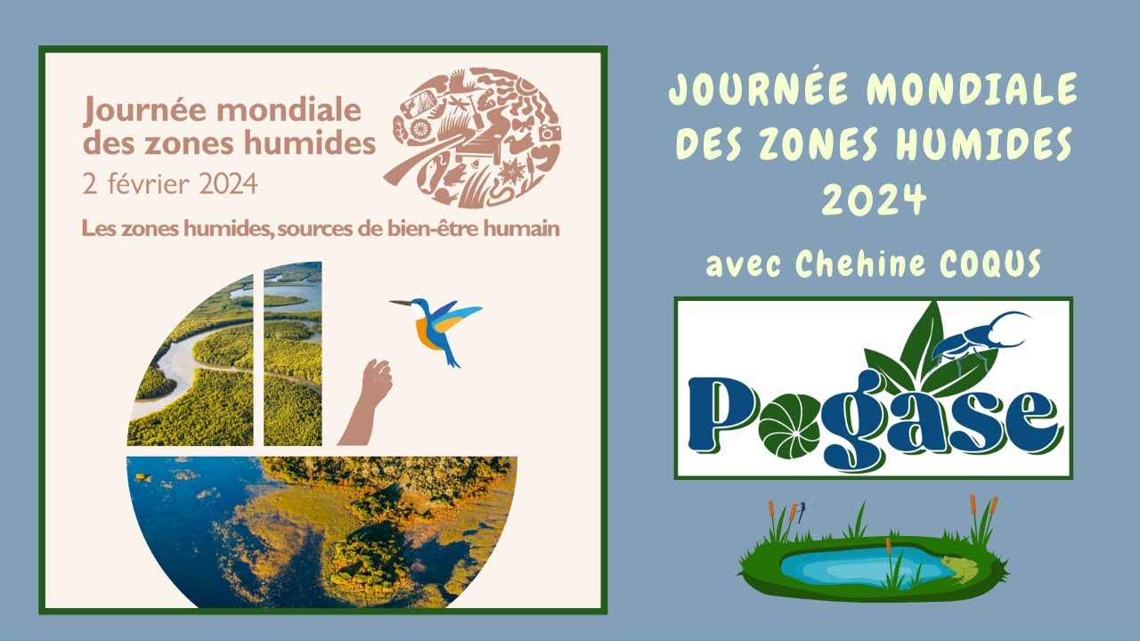 La Journée Mondiale des Zones Humides 2024 avec l'association PEGASE 💧 ...