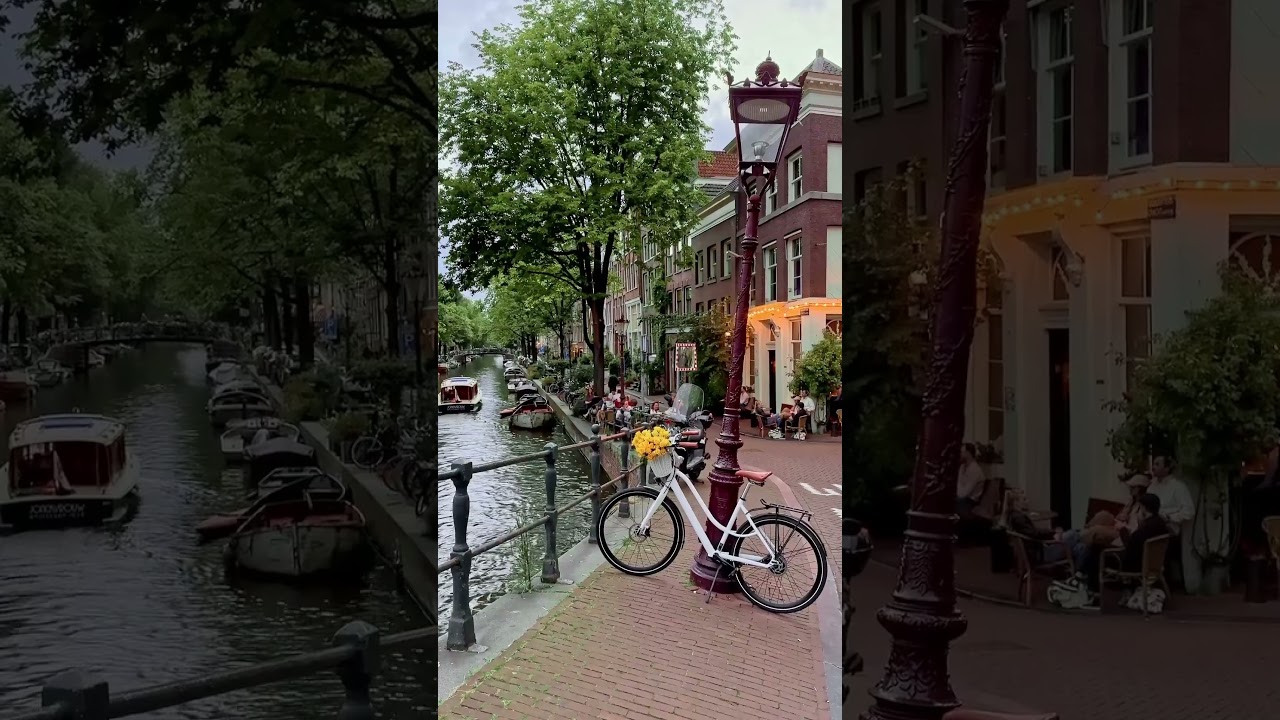 Why Amsterdam Has More Bikes Than People 🚲 | Surprising City Facts in ...
