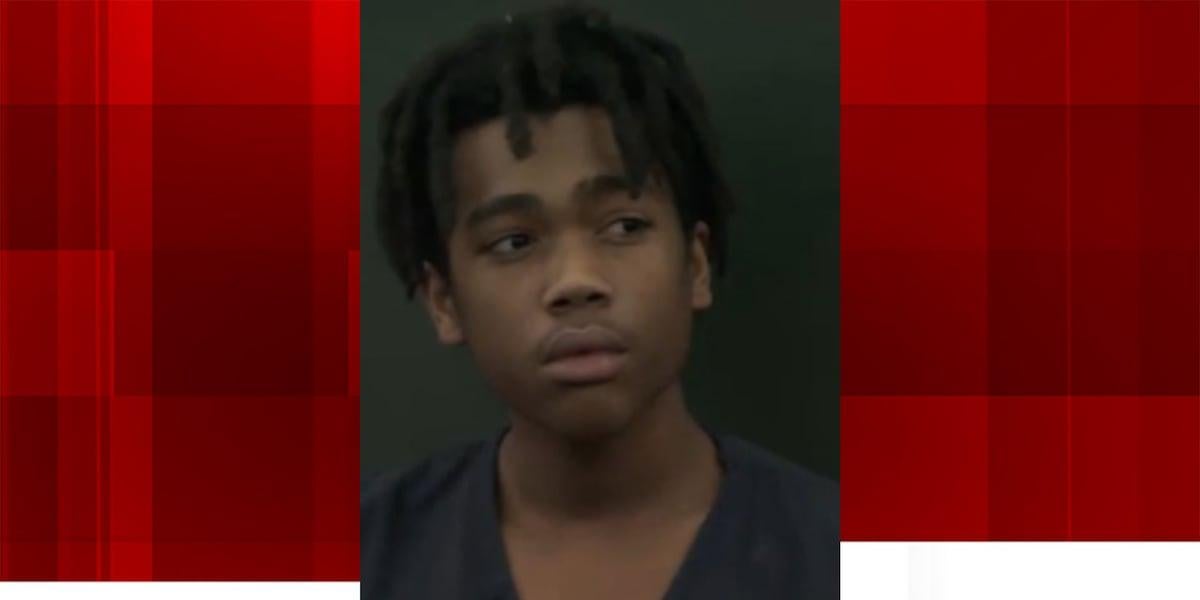 Second man accused of hitting, killing retired police chief enters plea ...