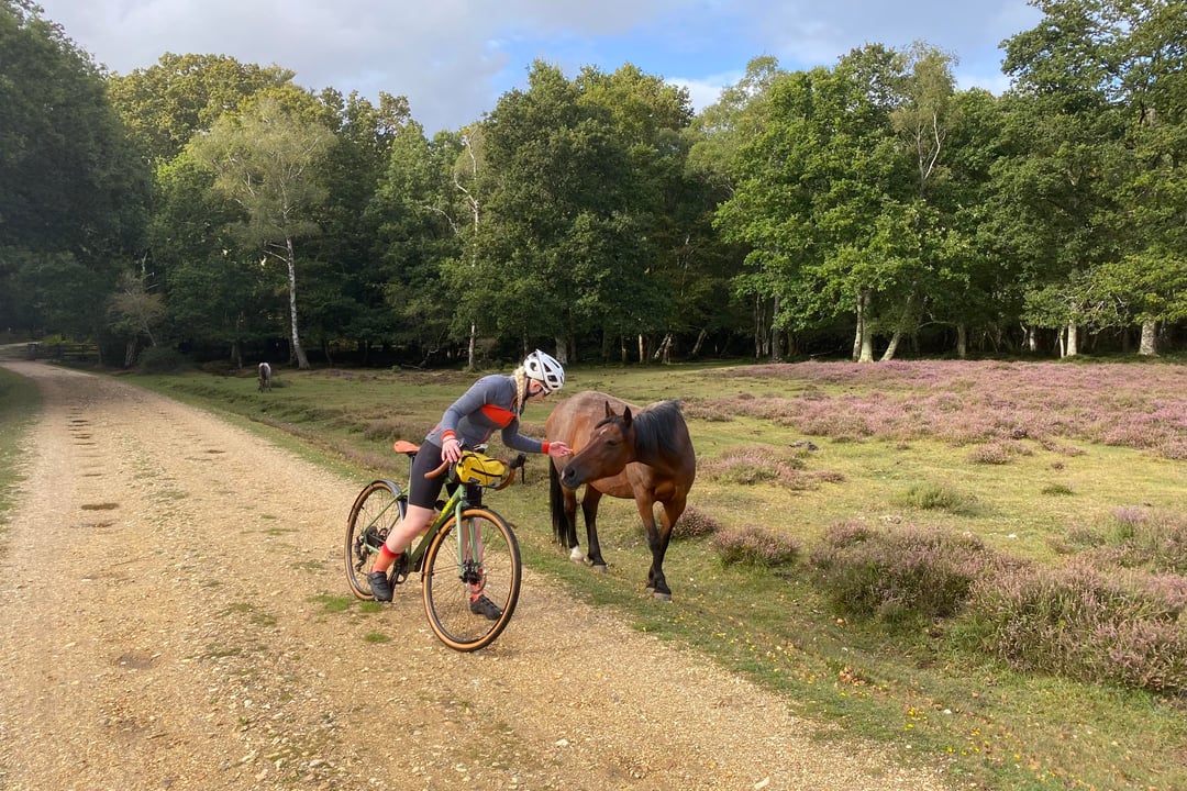 Genesis CDA 20 hits The New Forest gravel heaven. - Cycling Europe